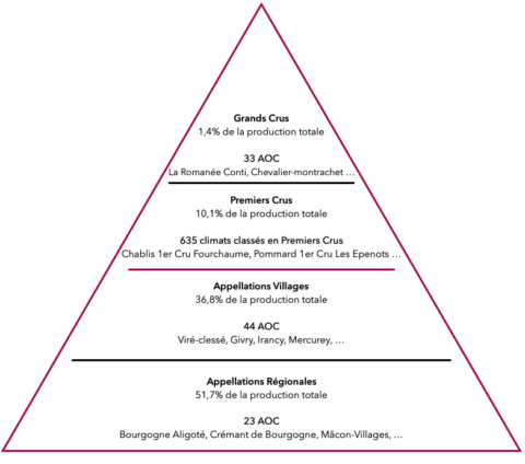 The appellations of Burgundy wines